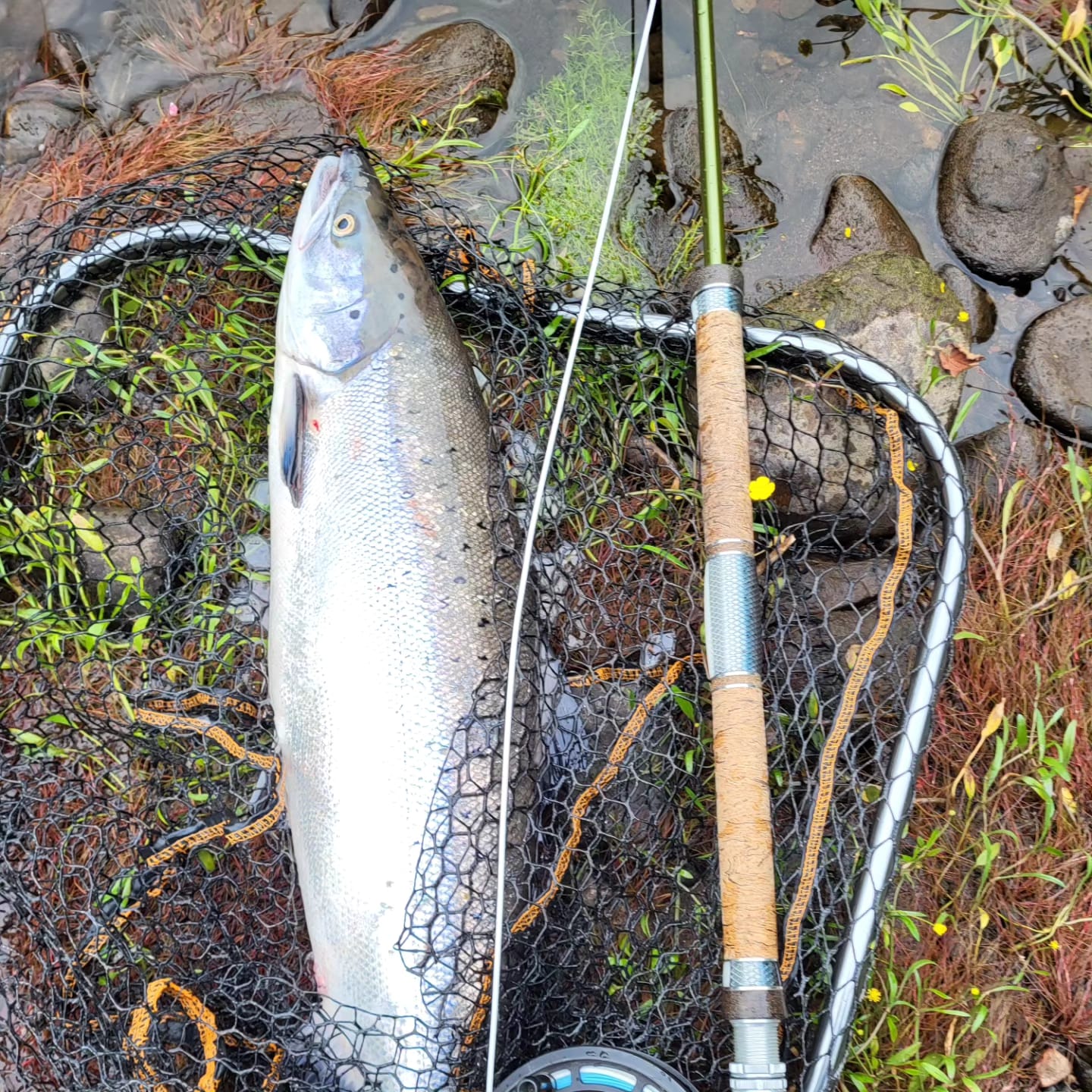 Beauly Angling Club – Fishing on River Beauly and Beauly Firth